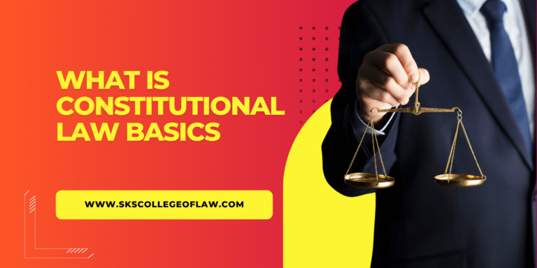 What is Constitutional Law Basics? Understanding Constitutional ...